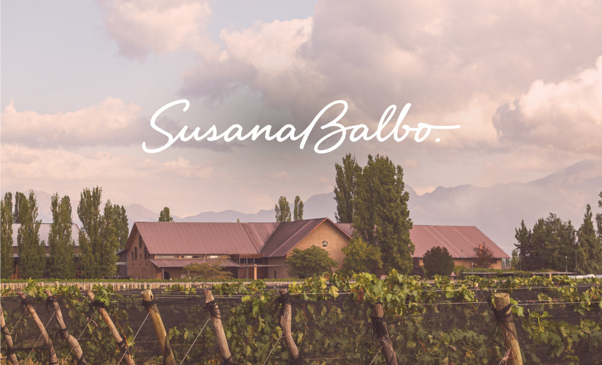 Especial Mundial – Tienda Susana Balbo